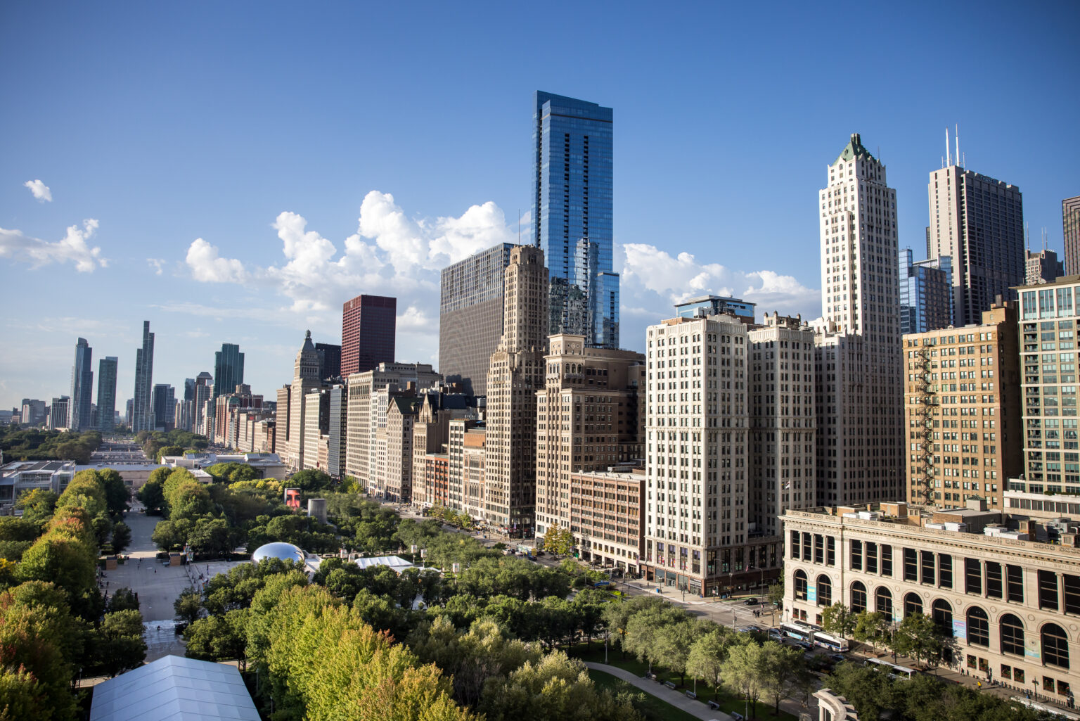 For The Sports Fanatics